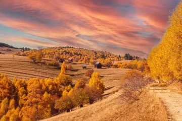 METEOFOR: Vremea în Suceava pe o lună, prognoza meteo pe 30 de zile ...