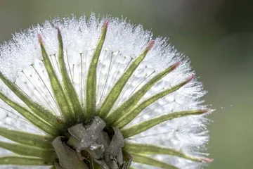 METEOFOR: Pogoda w Łukowie na tydzień, prognoza pogody Łuków na 7 dni ...